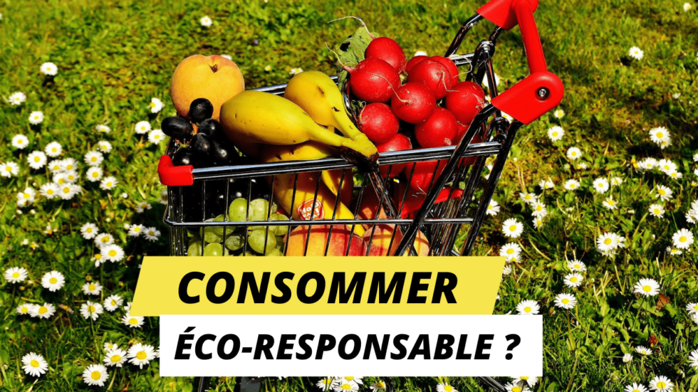 Consommer écoresponsable, pourquoi et comment ? Dans les coulisses de ...